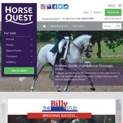 www.Horsequest.co.uk - Horse Quest UK - Horses for Sale