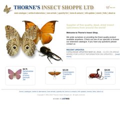 www.Thornesinsects.com - Thorne's Insect Shoppe Ltd